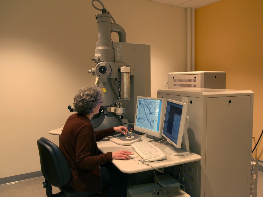 Transmission Electron Microscope (TEM) | Bioscience Electron Microscopy ...